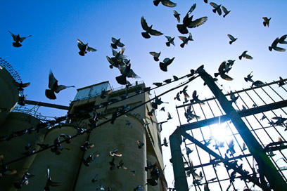 טעויות נפוצות בצילום