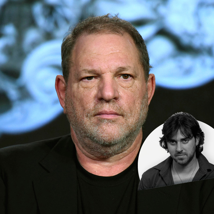 קיצור תולדות ההטרדות