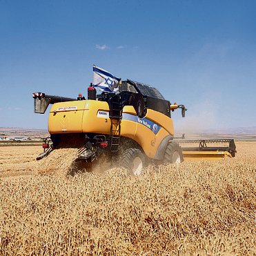 הלחם מתייקר? טחנות קמח הודיעה על העלאת מחירים של עד 10%